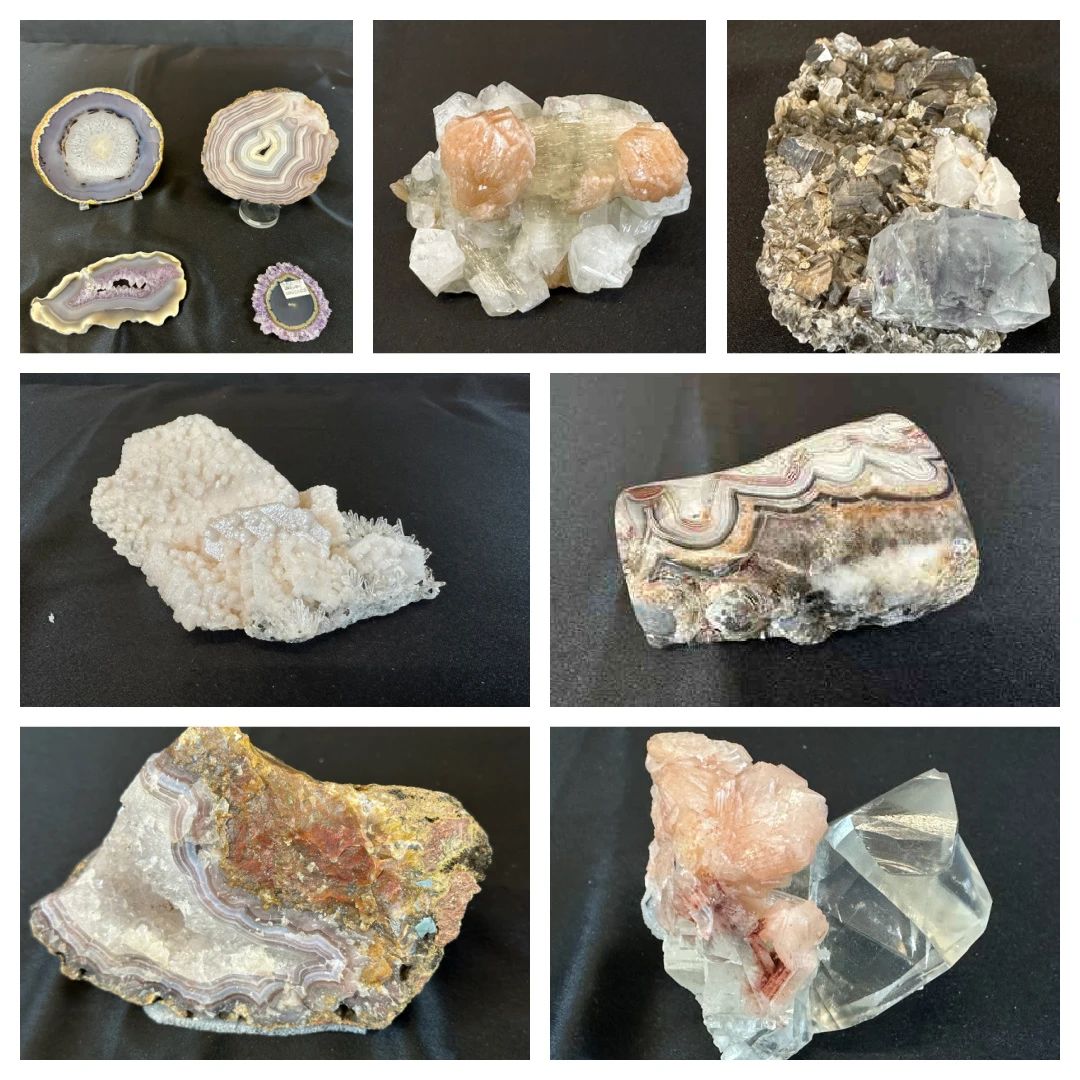 Schultz Trust Amazing Rock and Shell Collection... starts on 4/24/2024
