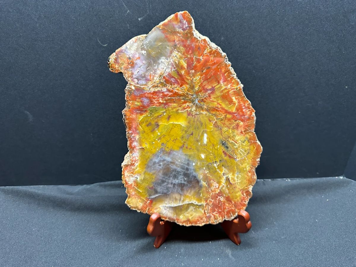 Fossils, Rocks, Arrowheads - Minneapolis, KS starts on 4/30/2024