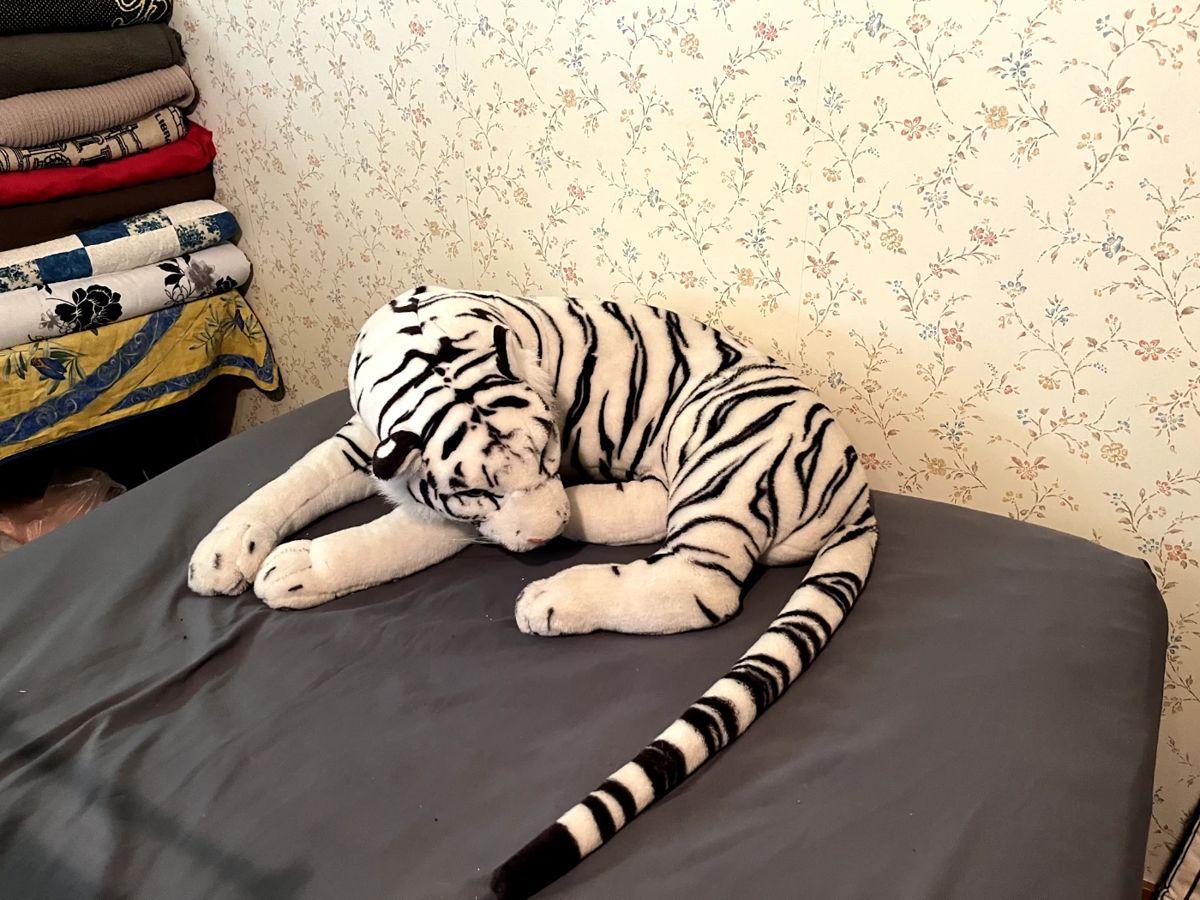 Richard and Elaine Randall Estate Sale starts on 8/9/2024