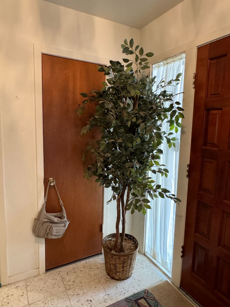 The Claridge Estate by Emily Styles starts on 5/10/2024