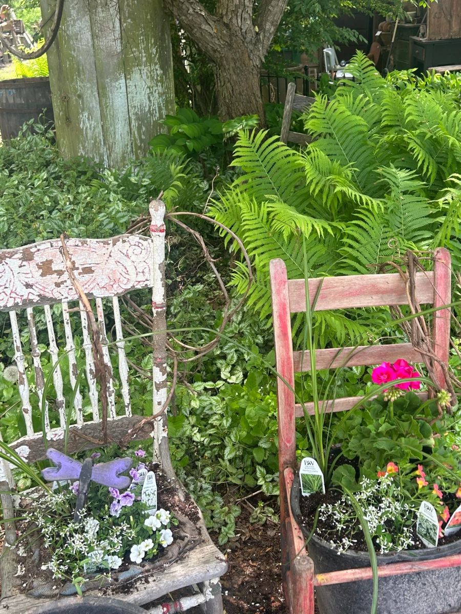 Estate Sale of Gail Benedict & Roses in the... starts on 5/23/2024