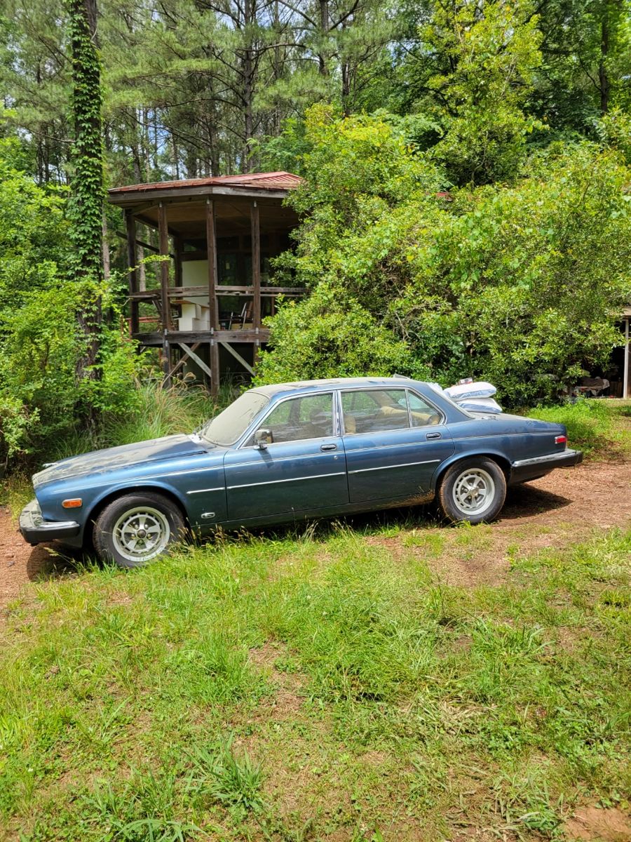 BIG Picker's Sale - Tools, Camping, Auto,... starts on 6/1/2024