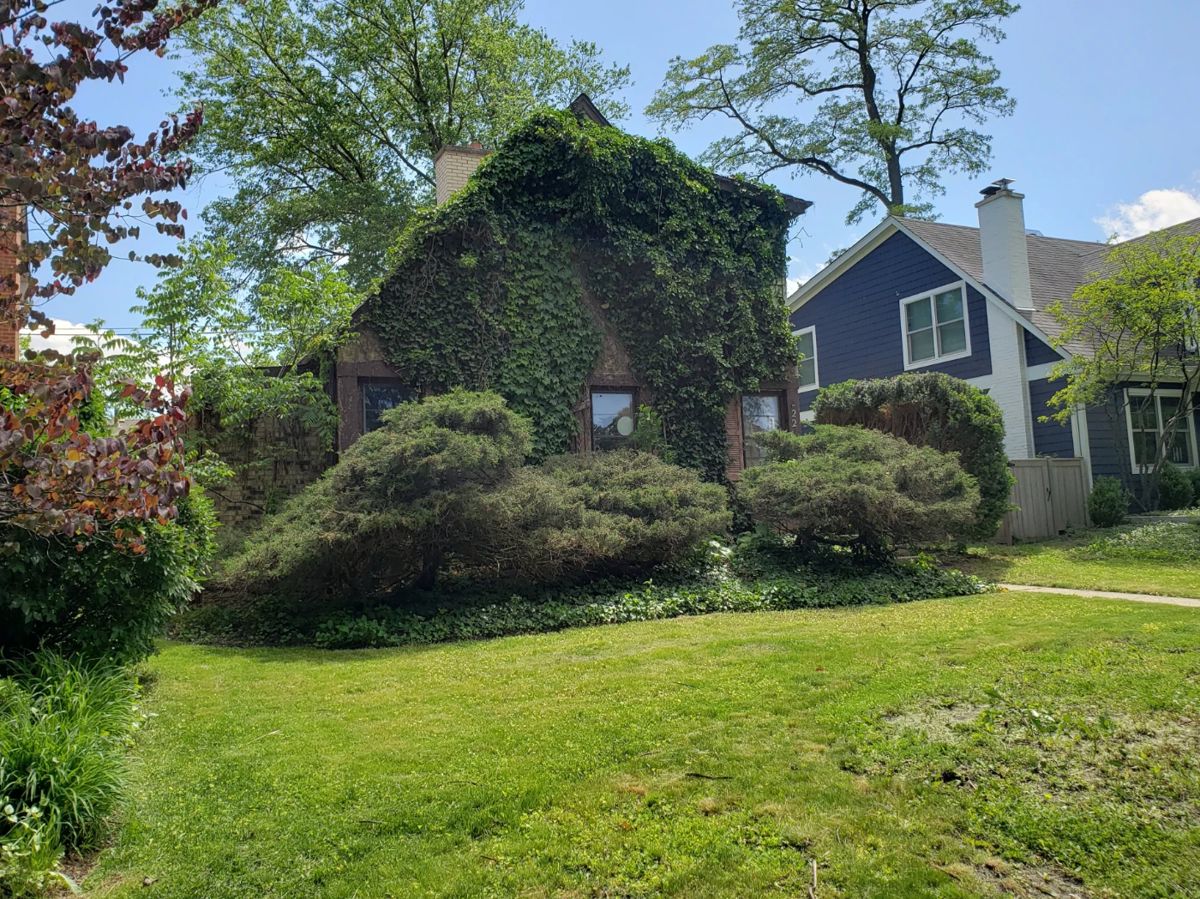 75% Off Monday! Park Ridge Estate Sale -... starts on 5/27/2024
