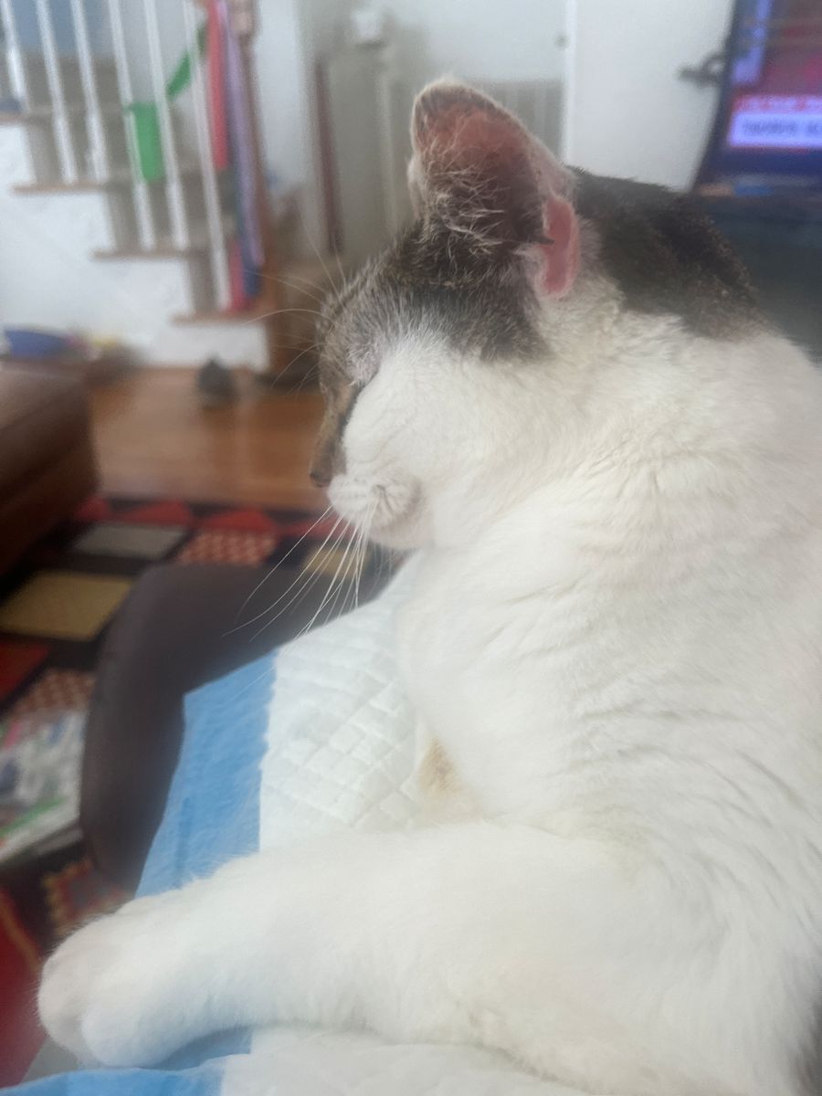 TOO MUCH LEFT! 50% OFF, 75% OFF FURNITURE starts on 5/31/2024