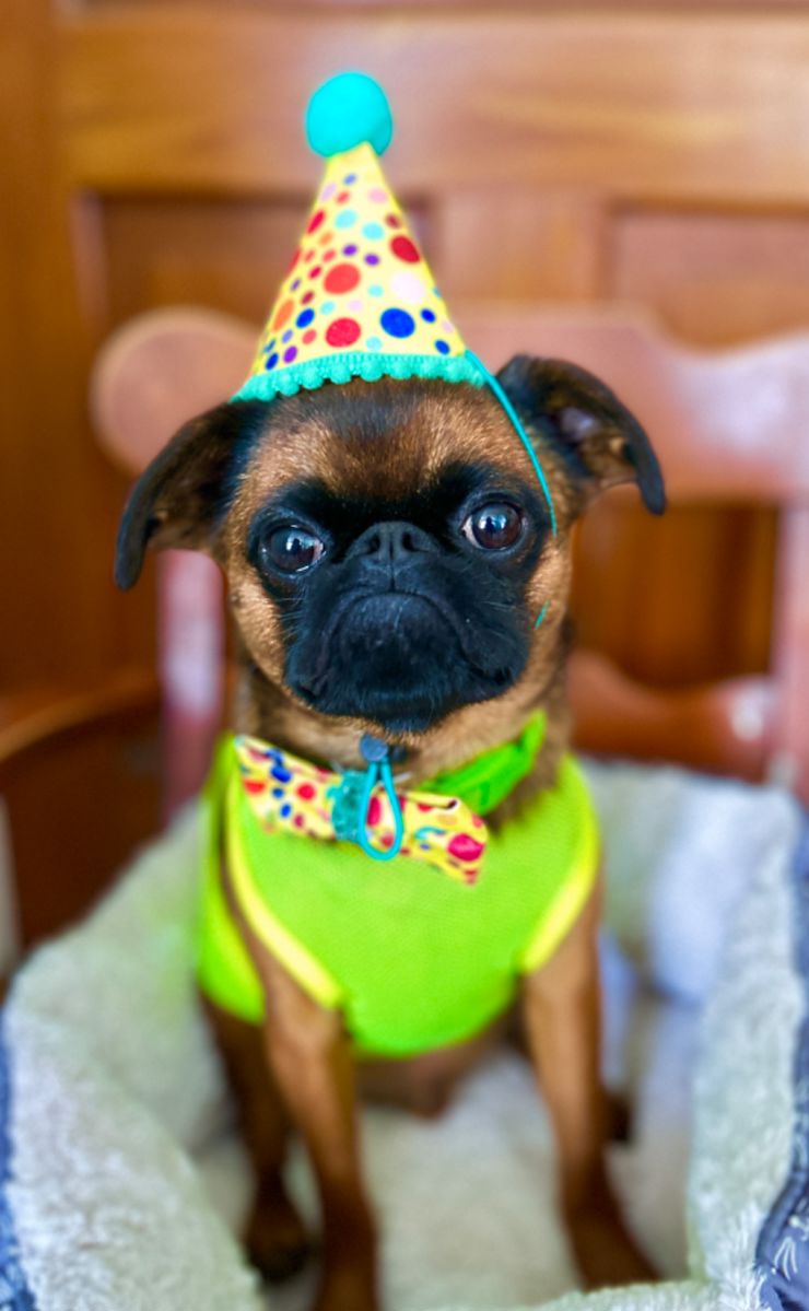 Farmhouse Estate Sale on 40 Acres in Jobstown starts on 6/1/2024