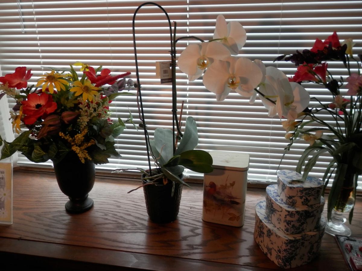 Daisy Estate Sales in Rochester, NY starts on 8/22/2024