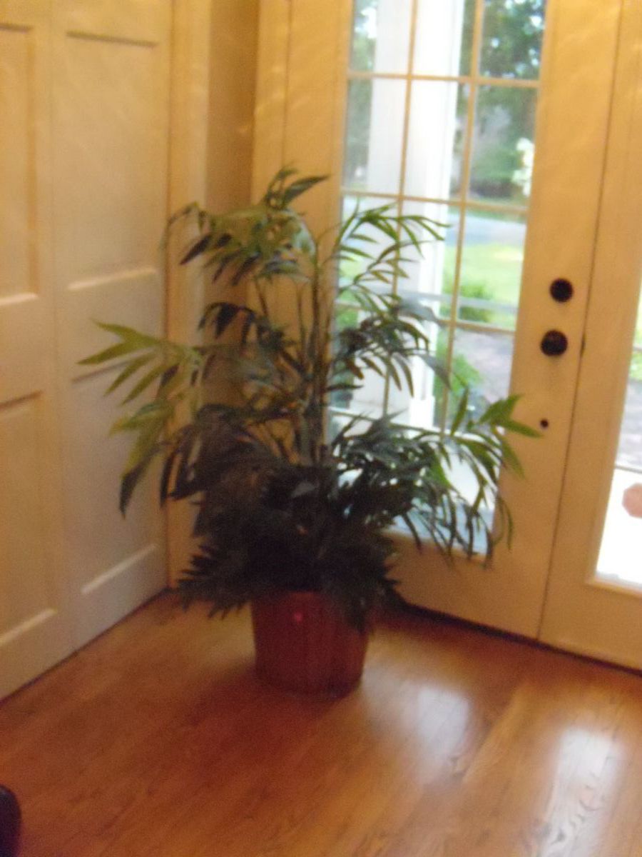 Premier Sales in Jamestown, NY starts on 6/20/2024