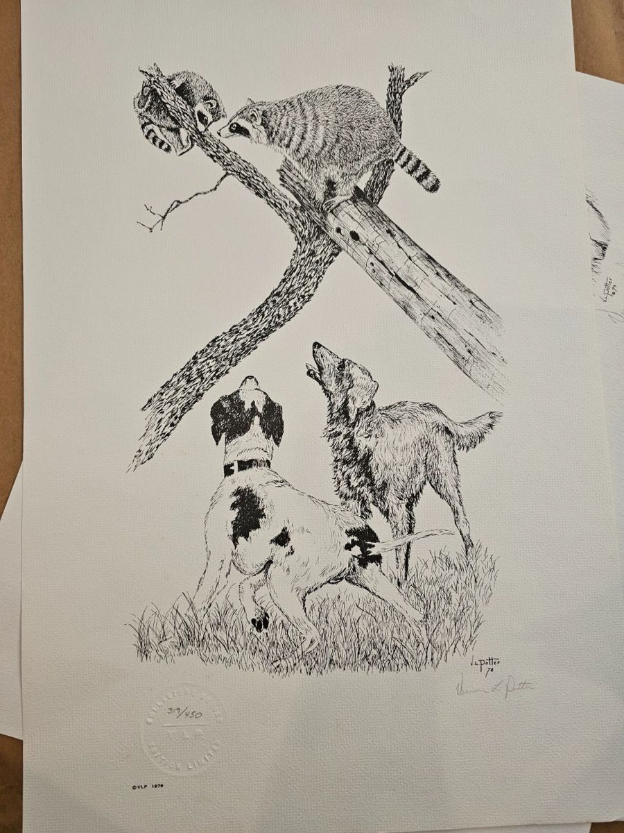 Let it Go Lifestyle in Windermere-Gate will... starts on 8/2/2024