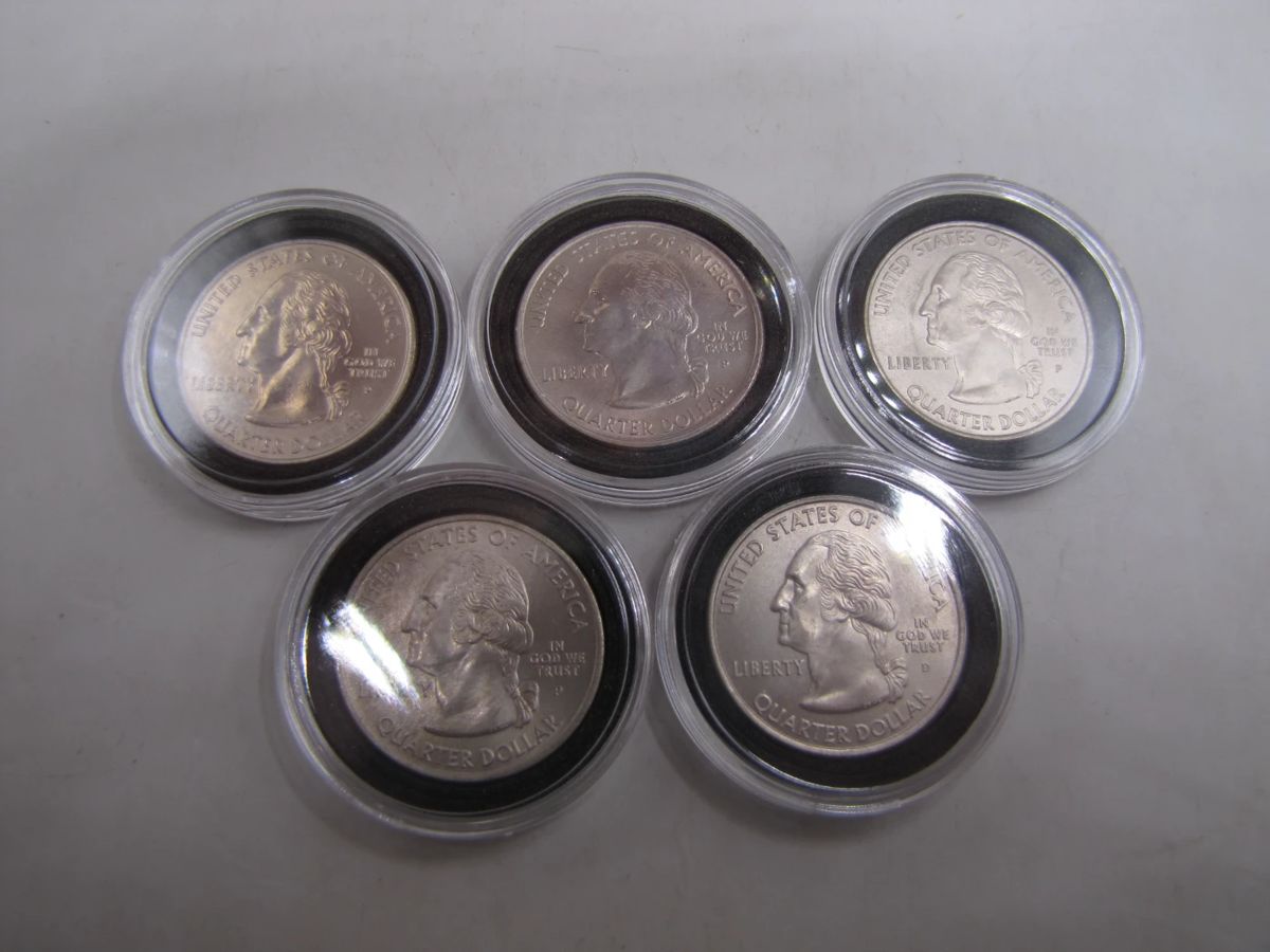 Auction Monkey Colossal Finds Auction starts on 6/29/2024