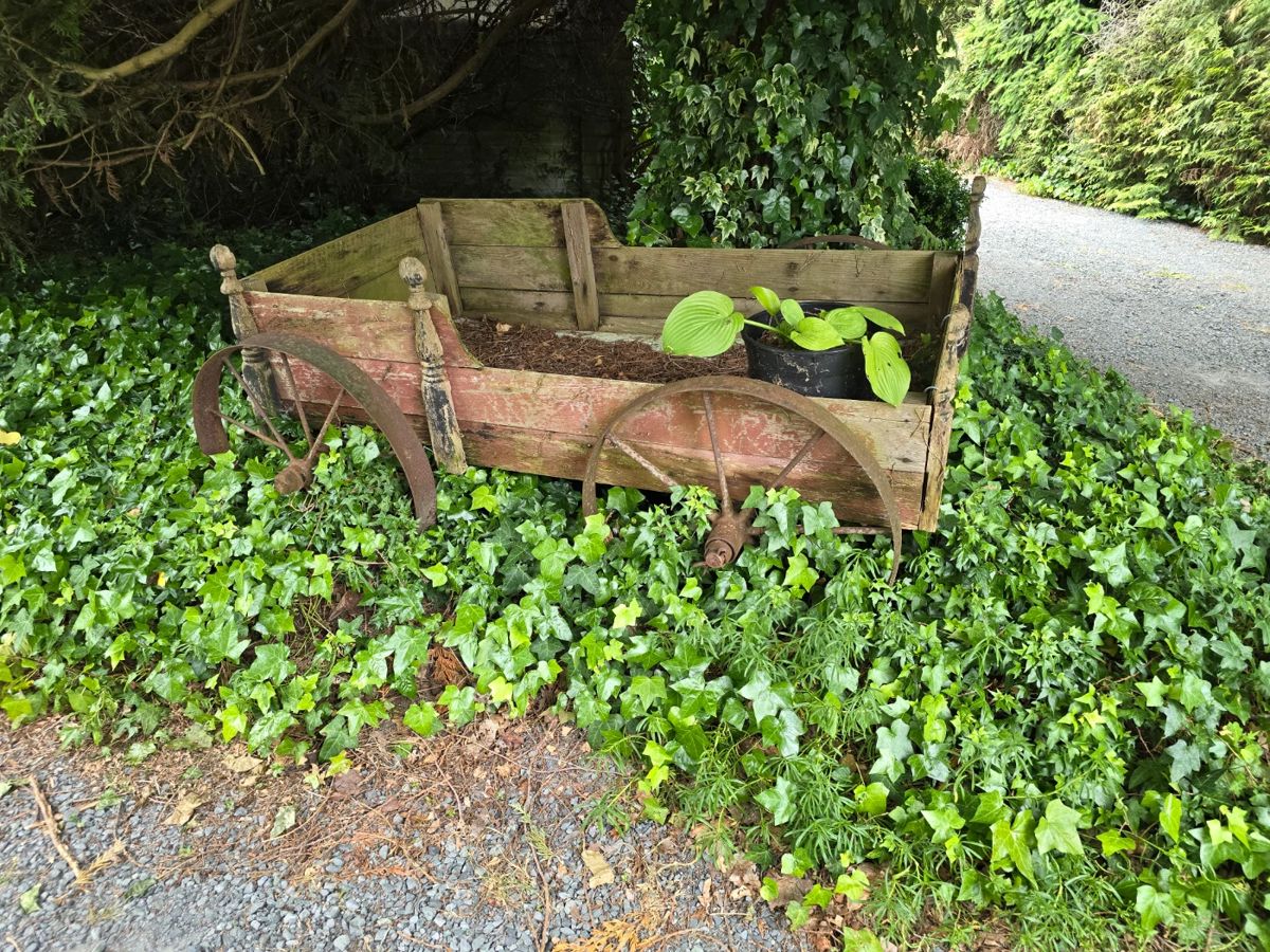 EPIC! Farm Barn Rustic County Collectible Sale starts on 7/5/2024