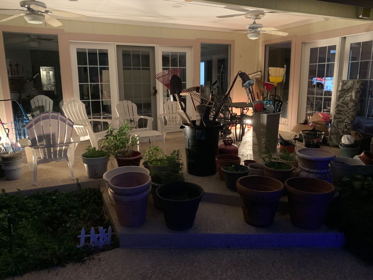 Lorenda’s Professional Famous Author & World... starts on 7/11/2024