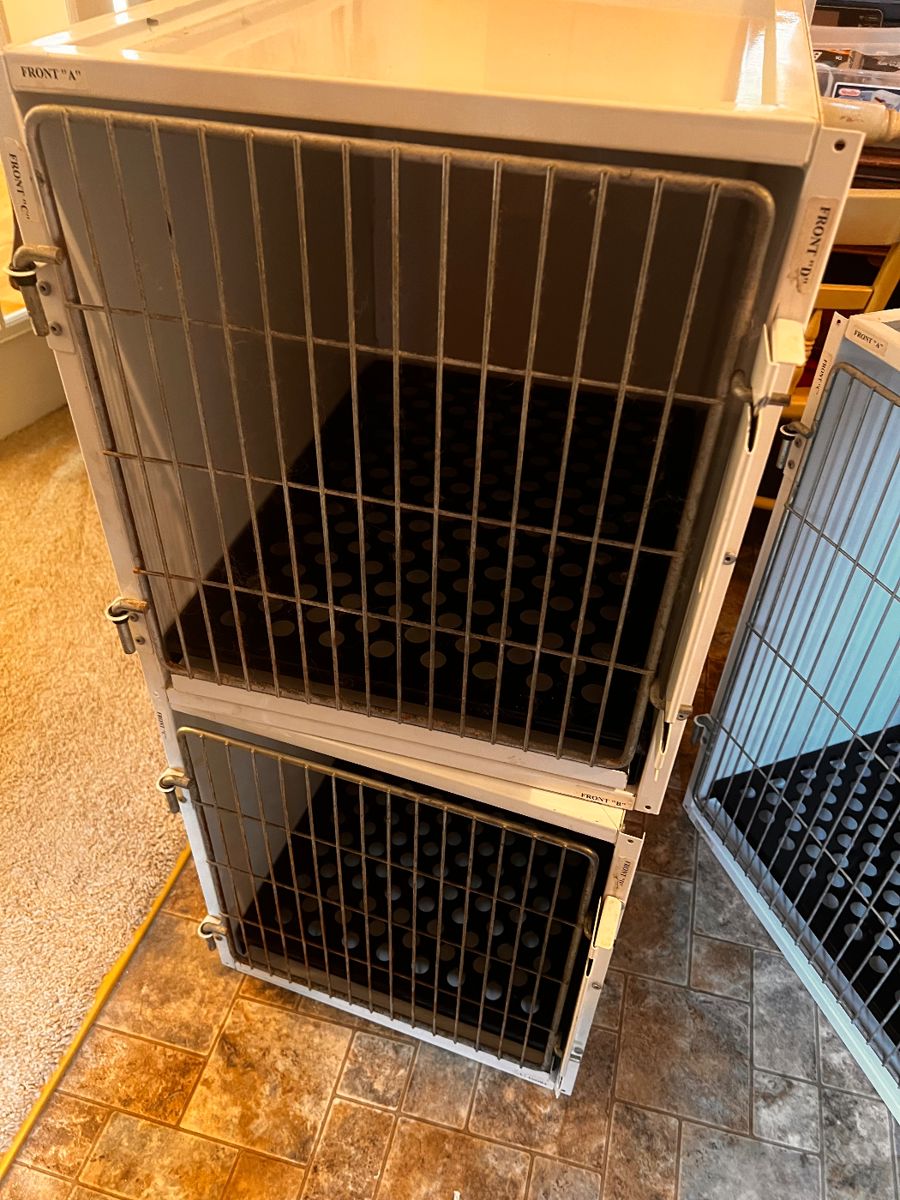 Beaver in Virginia Beach, VA starts on 7/25/2024