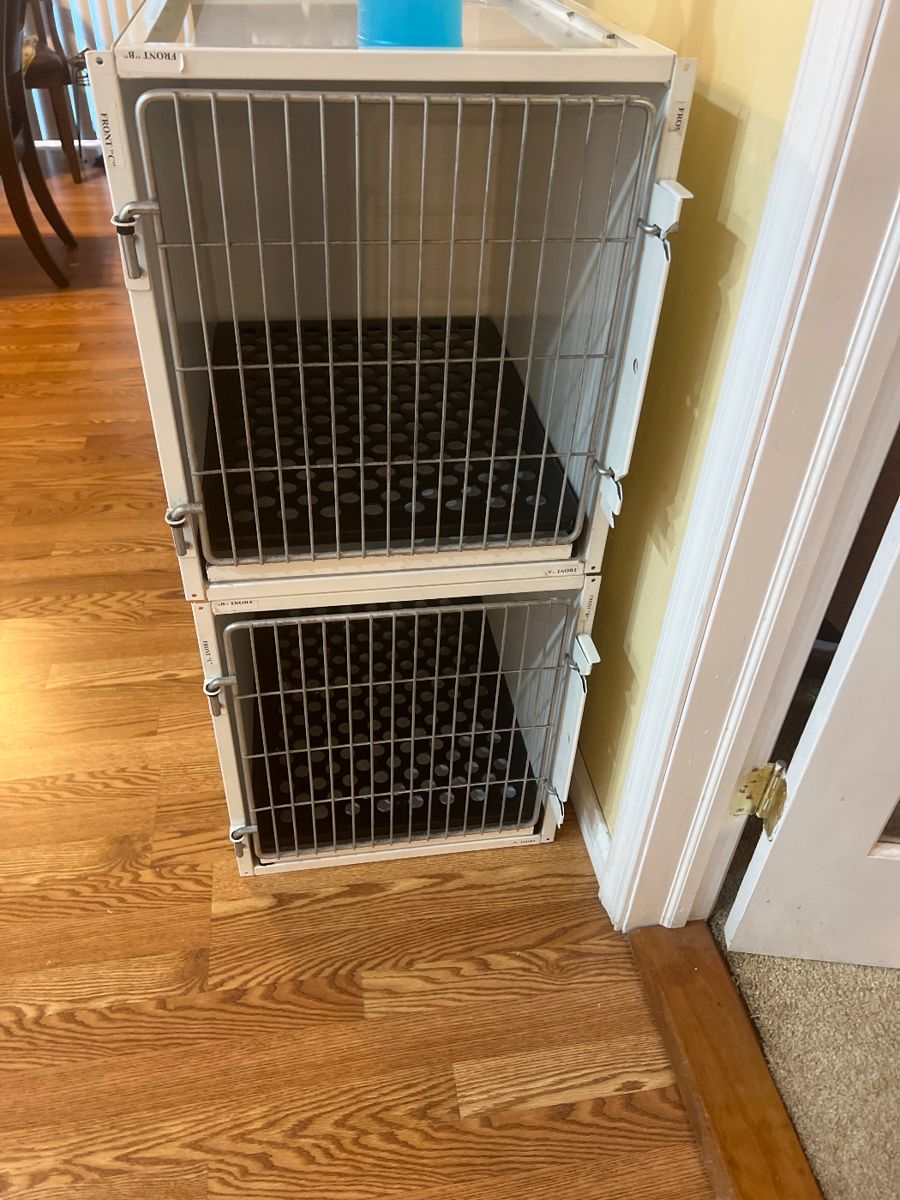 Beaver in Virginia Beach, VA starts on 7/25/2024