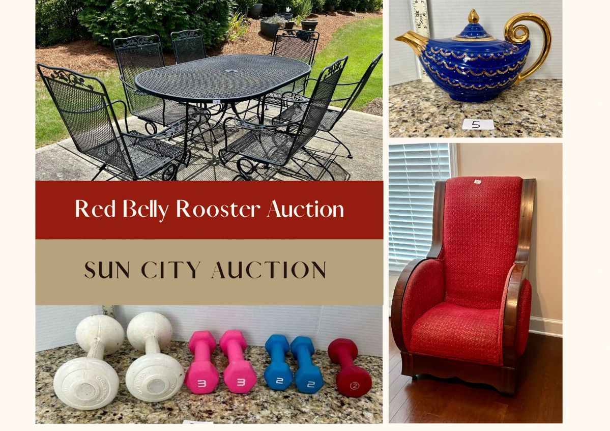 Sun City Auction in Griffin, GA starts on 7/23/2024