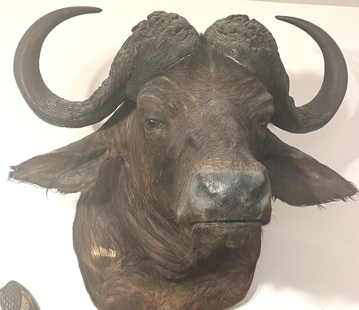 Caledonia Estate Sale in Racine, WI starts on 8/2/2024