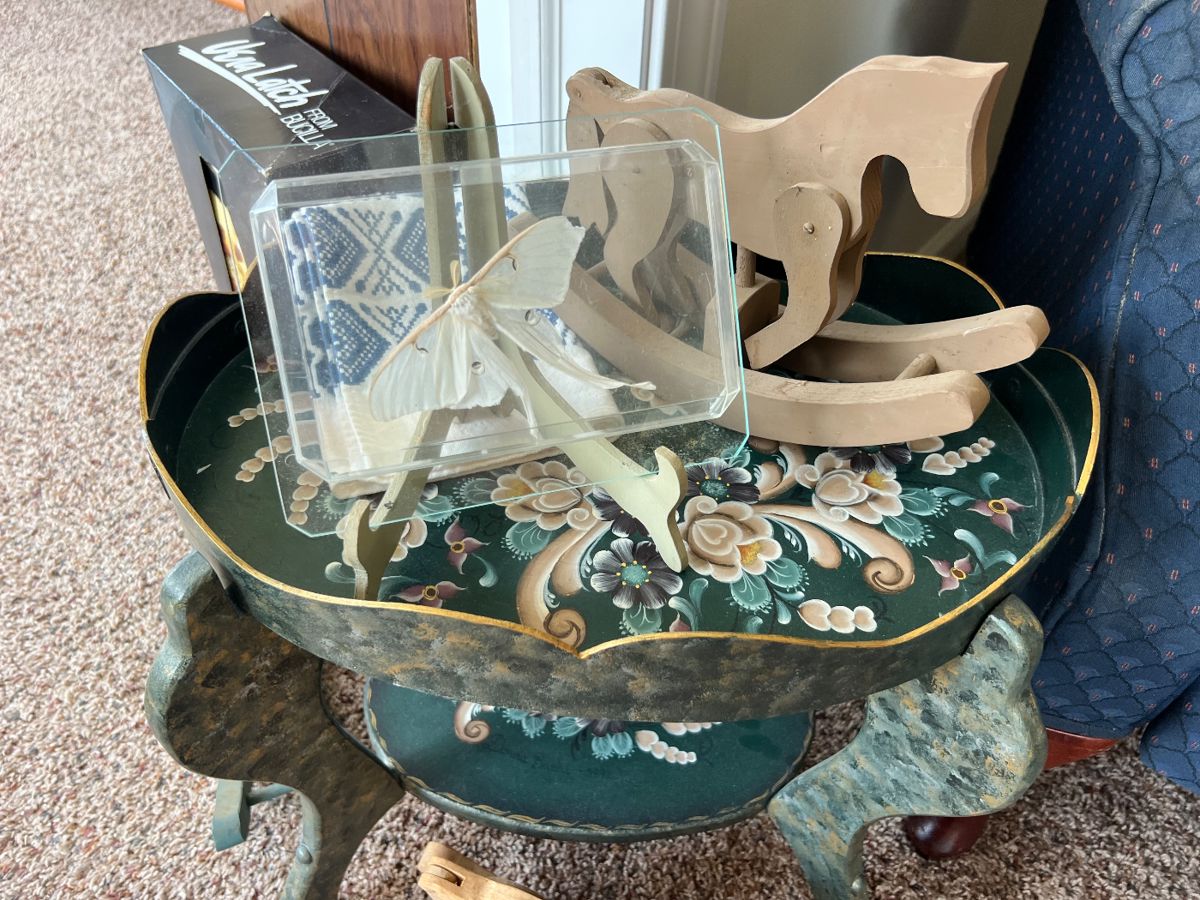 Charming Hastings Condo!! Hand Painted Items,... starts on 8/29/2024