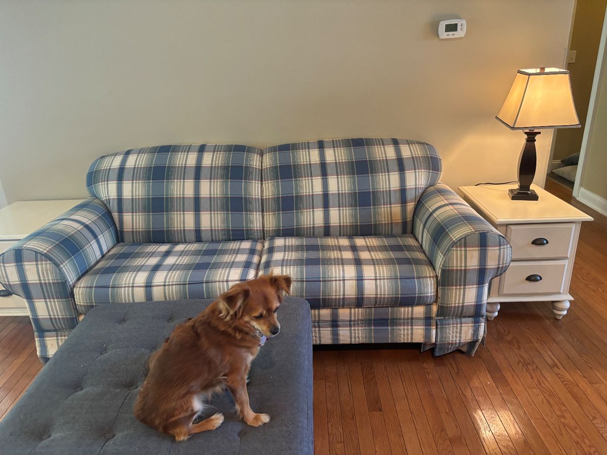 Gobsmackingly Great Goods in Gansevoort starts on 9/7/2024