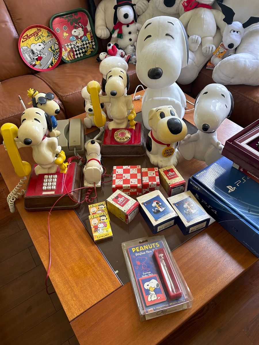 Snoopy! Electronics and Lots of Treasures... starts on 10/10/2024