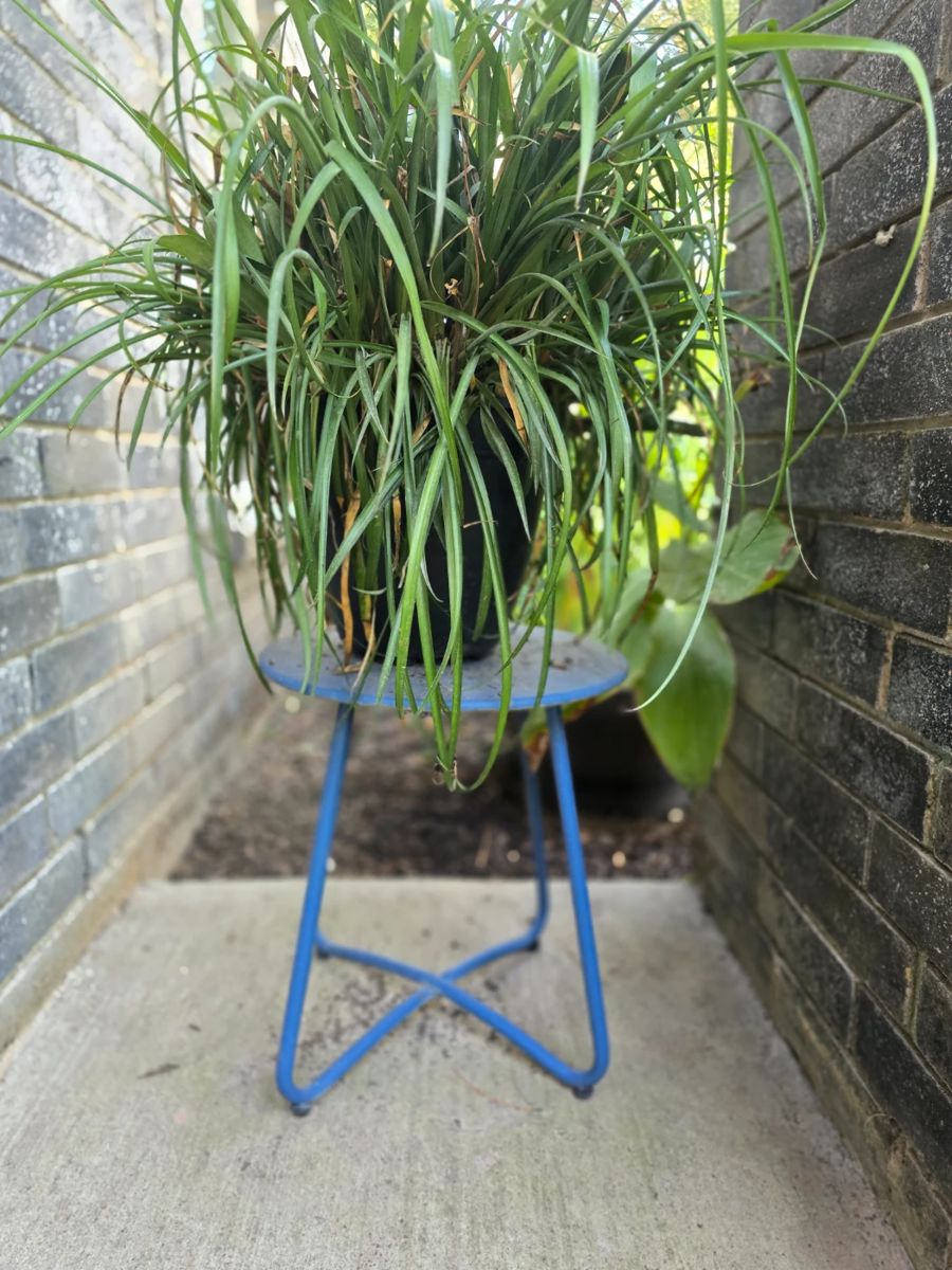 Copperfield Area Estate Sale 25% off on Saturday... starts on 10/11/2024