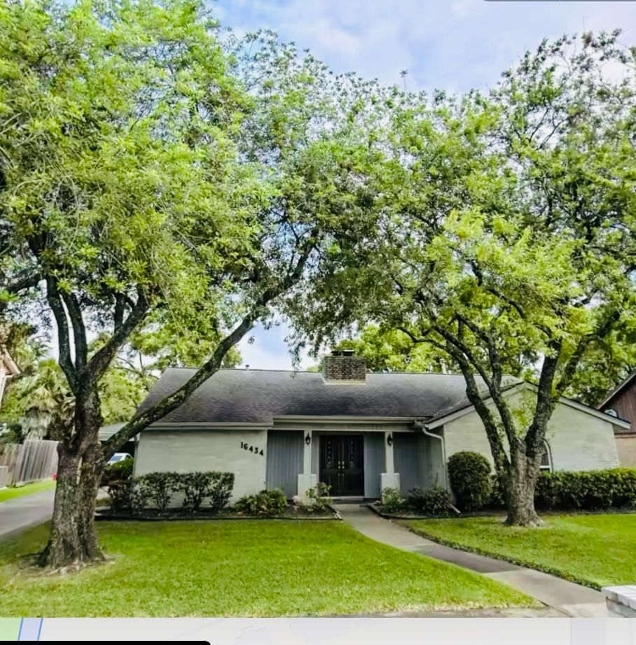 Bluebonnet Estate Sales Memorial Eclectic... starts on 10/31/2024