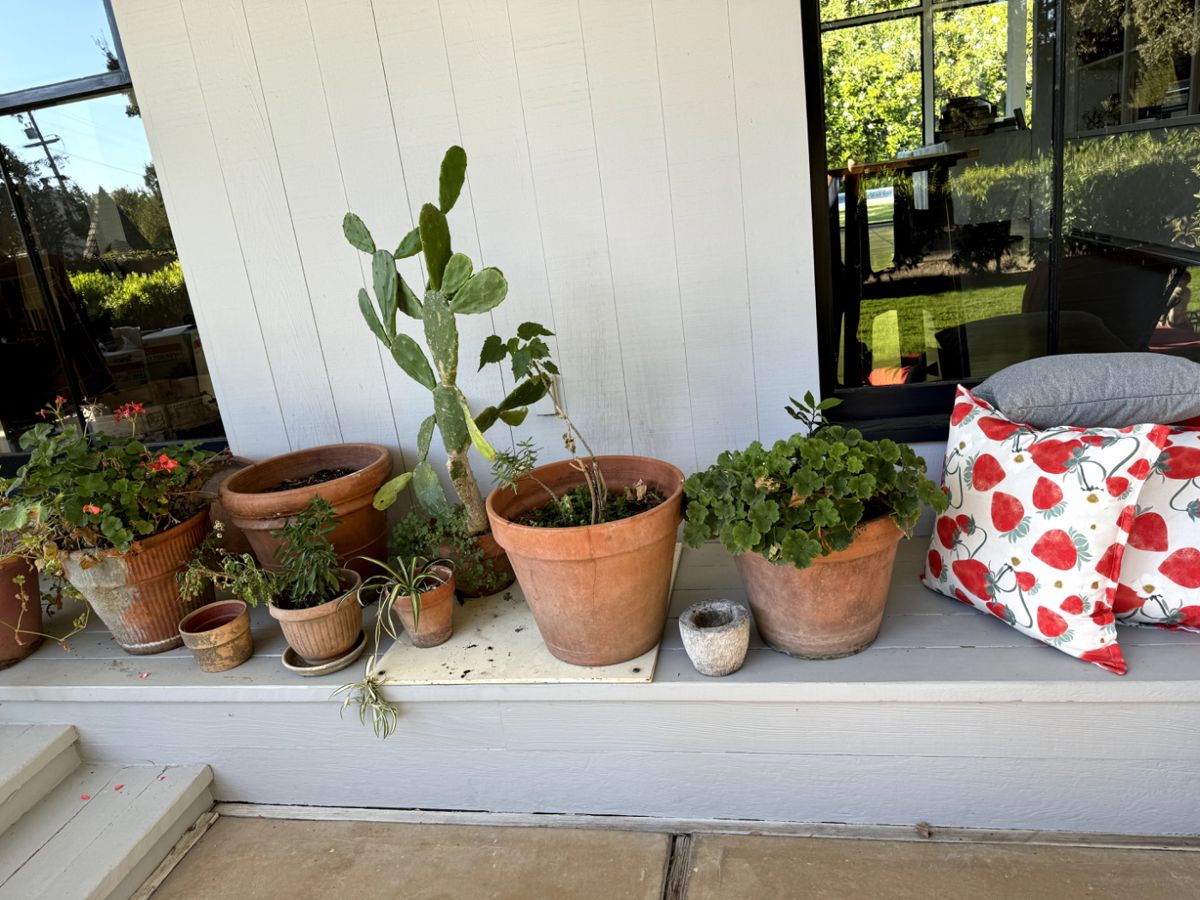 Book Your Spot! Sacramento Delta Estate Sale starts on 10/25/2024