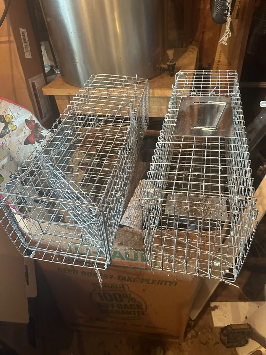 Discount Sunday at our Barn Bonanza in Maybee starts on 10/18/2024