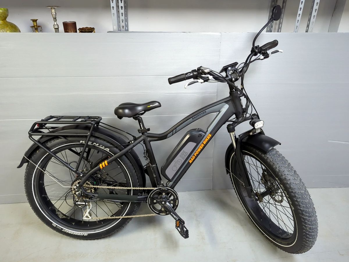 It's Wabbit Season, No It's Auction Season! starts on 10/4/2024