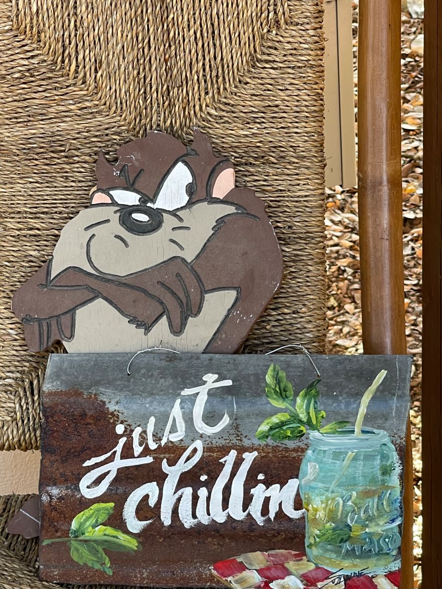 60% off Just Chilling in Serenada in Georgetown, TX starts on 11/8/2024