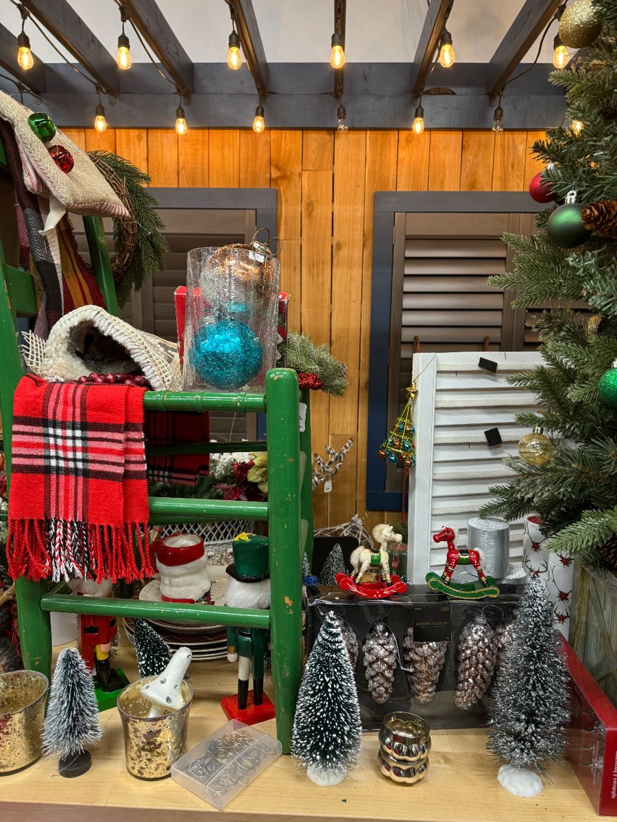 New Face at Fresh Space — Diving Deep into... starts on 11/8/2024