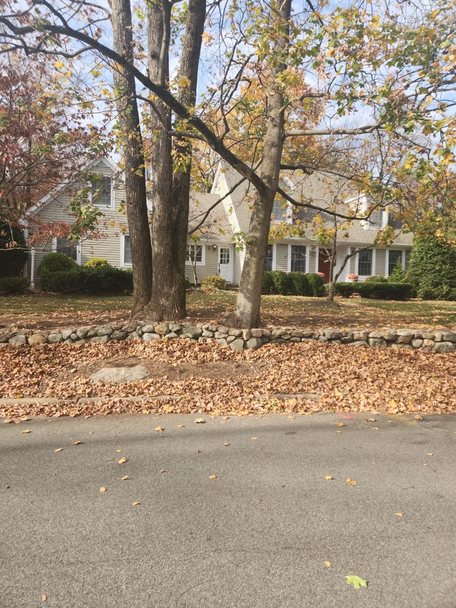 JUNK CHICK hosting Allendale Estate Sale starts on 11/9/2024