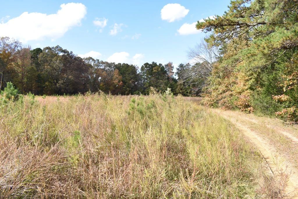 128 Acre Farm w/ Historic Home in Central... starts on 12/5/2024