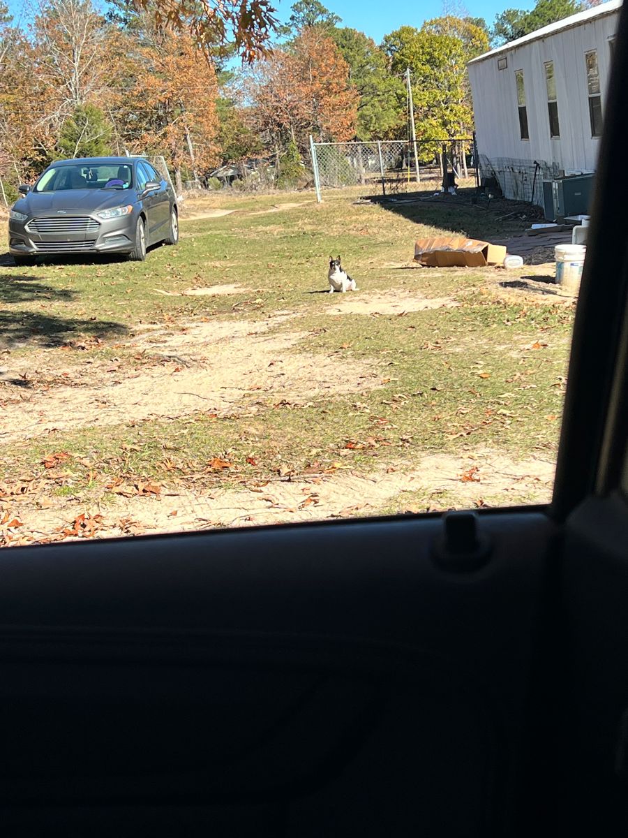 75% OFF ON SATURDAY ESTATE CLEAN OUT SALE starts on 12/13/2024