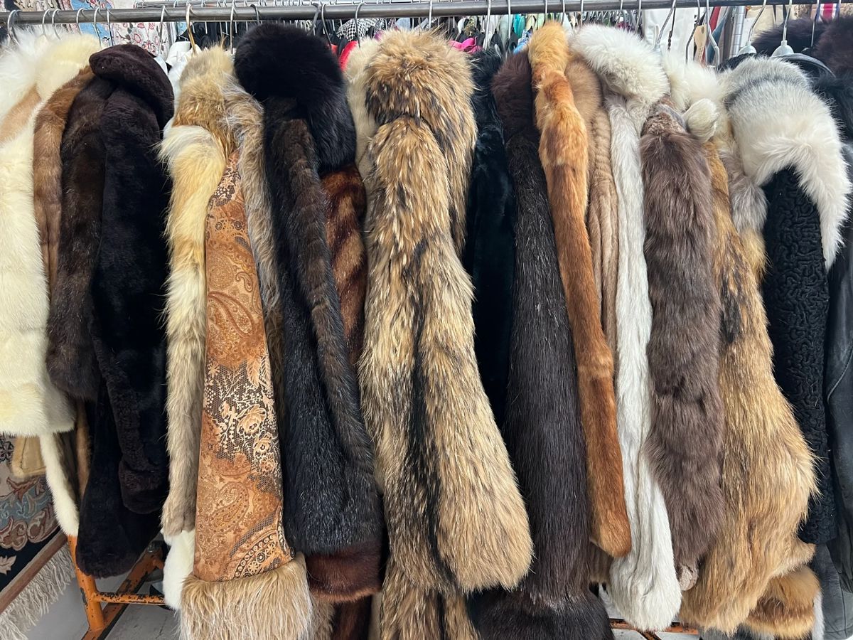 50% off Vintage Clothing, Furs, Costume Jewelry,... starts on 12/21/2024