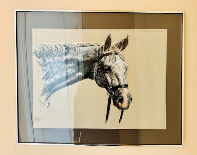 ~Incredible Robson Ranch - Denton, TX Estate... starts on 1/24/2025