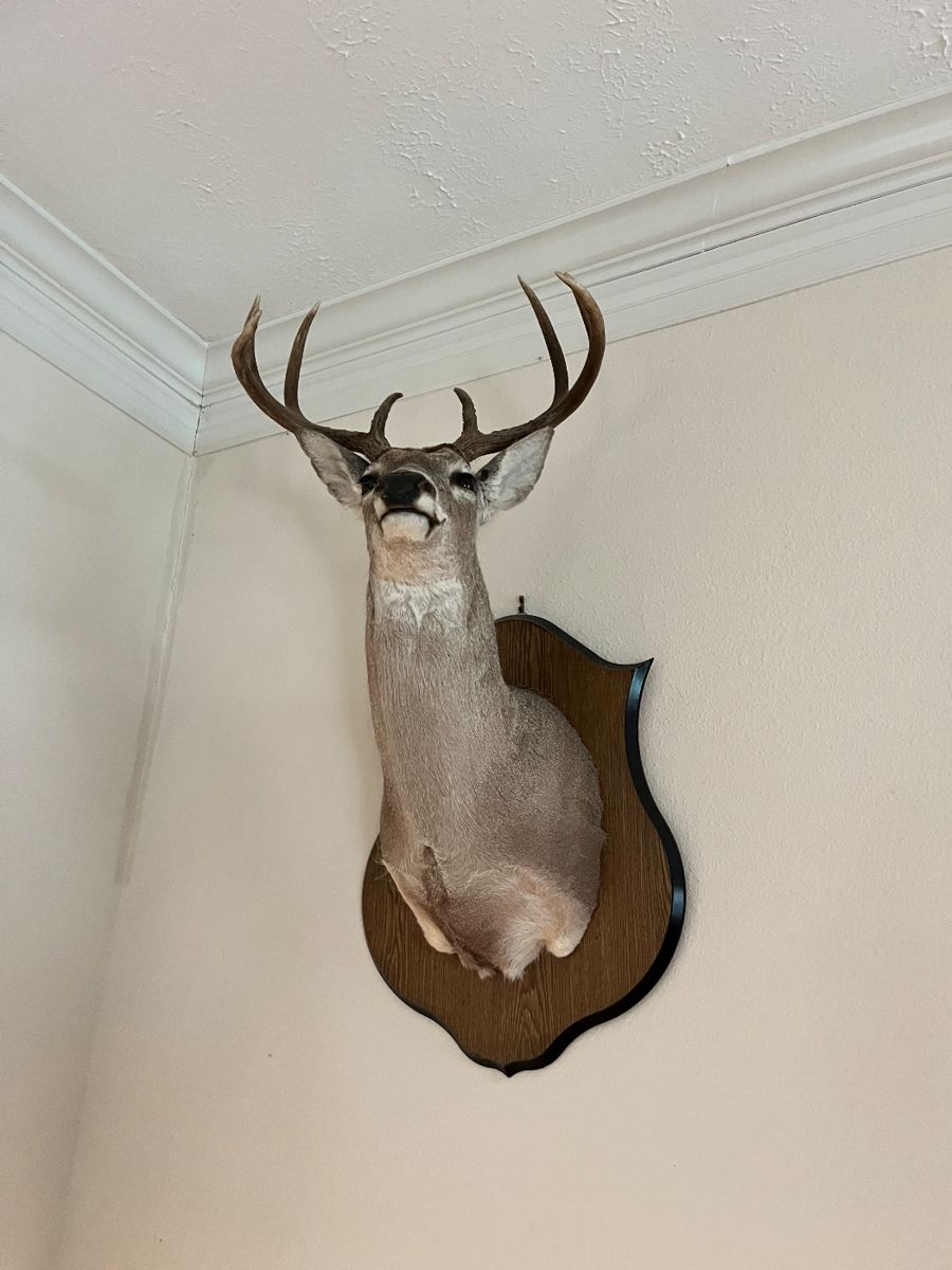 Devlin Estate Sales in Magnolia, Texas starts on 1/18/2025