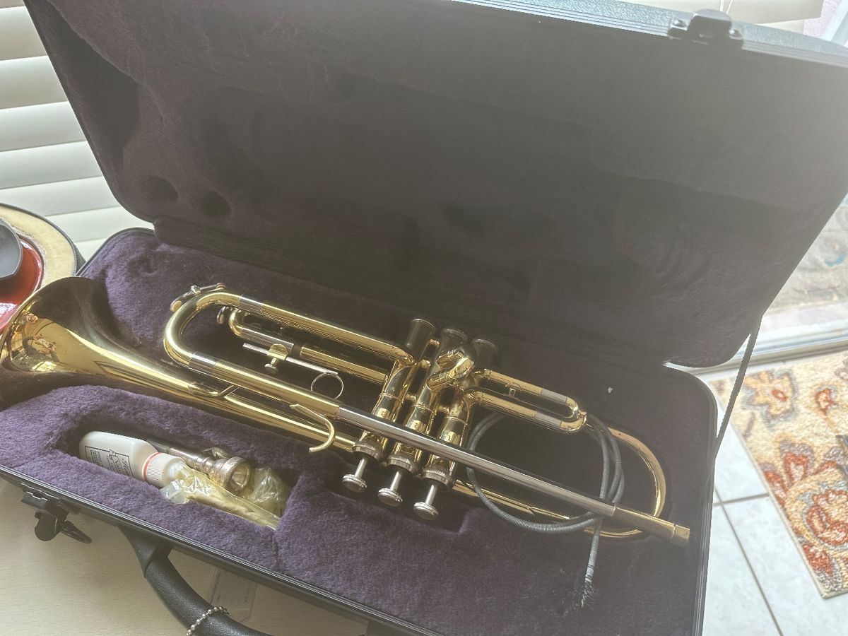 JSM ESTATE SALES & HI IT’S TERRI in Orlando, FL starts on 1/16/2025