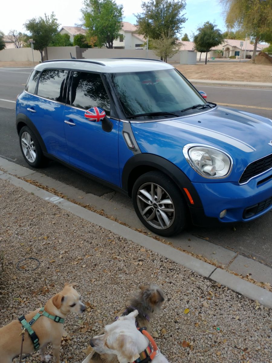 50% OFF SATURDAY!! MINI COOPER+HONDA ELEMENT+MAZDA... starts on 2/28/2025