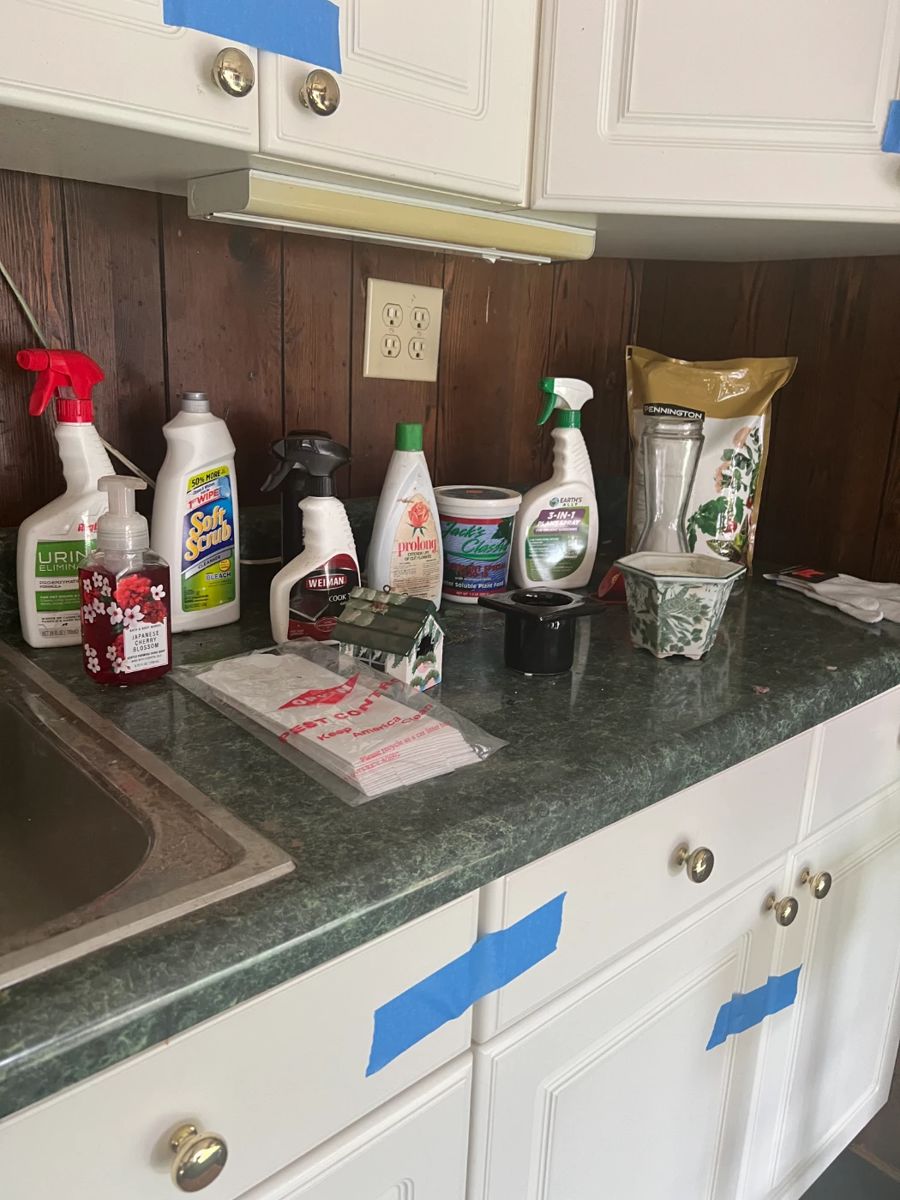 Treasure Trove Estate Sale in Taylors, SC starts on 2/13/2025