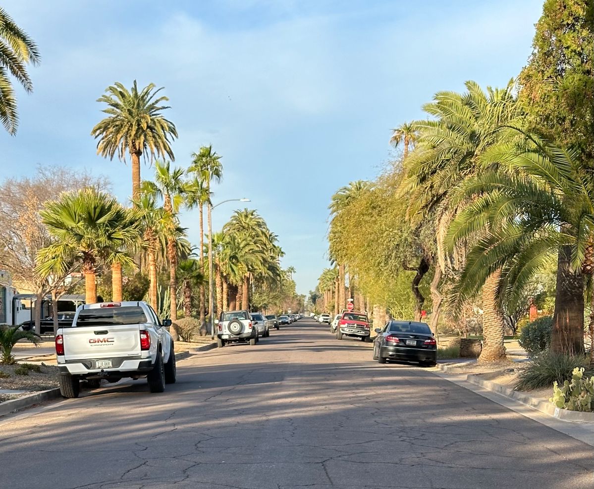 Phoenix Estate Sale starts on 2/21/2025