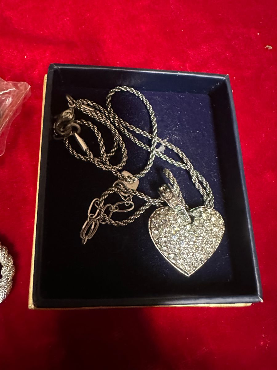 Hi, It’s Terri in Orlando!!!! starts on 2/13/2025