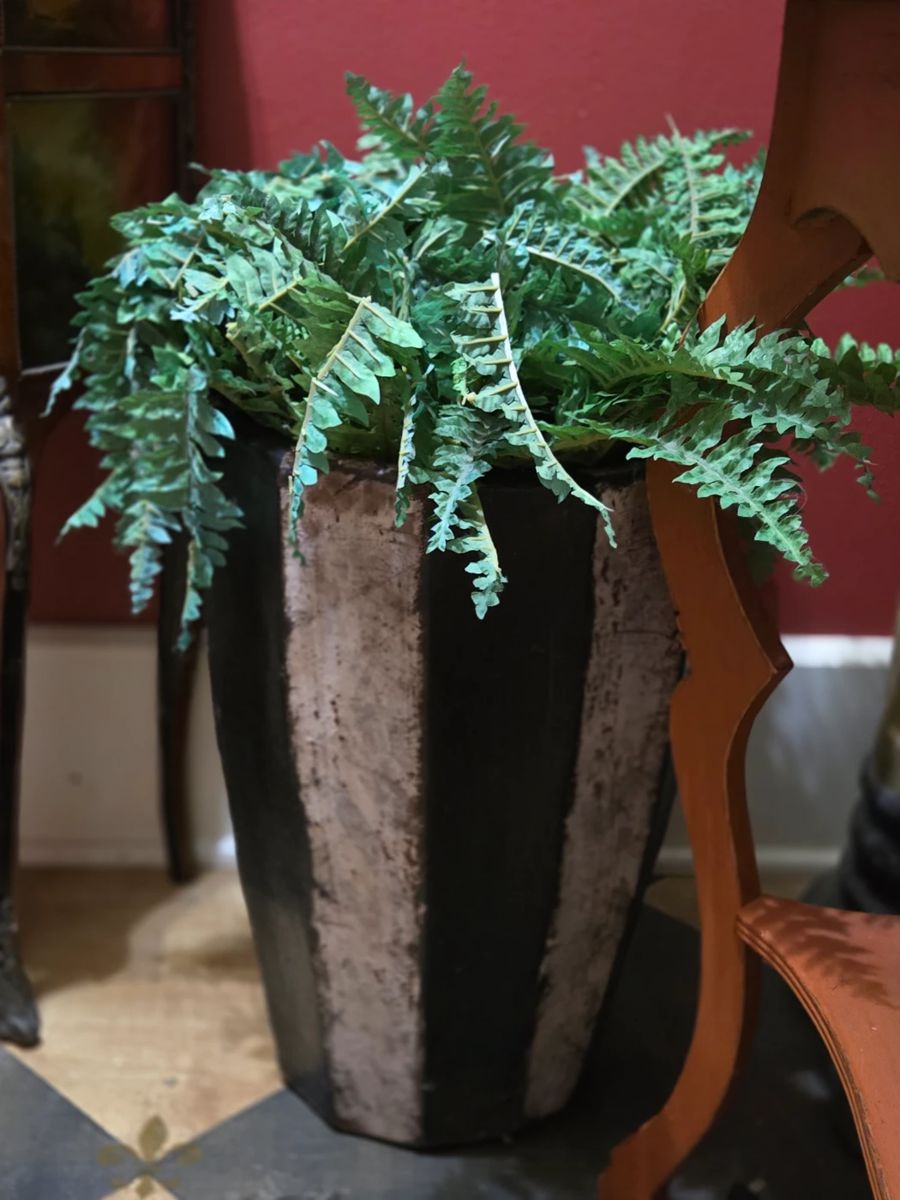 Adorable Estate in Cleburne starts on 2/21/2025