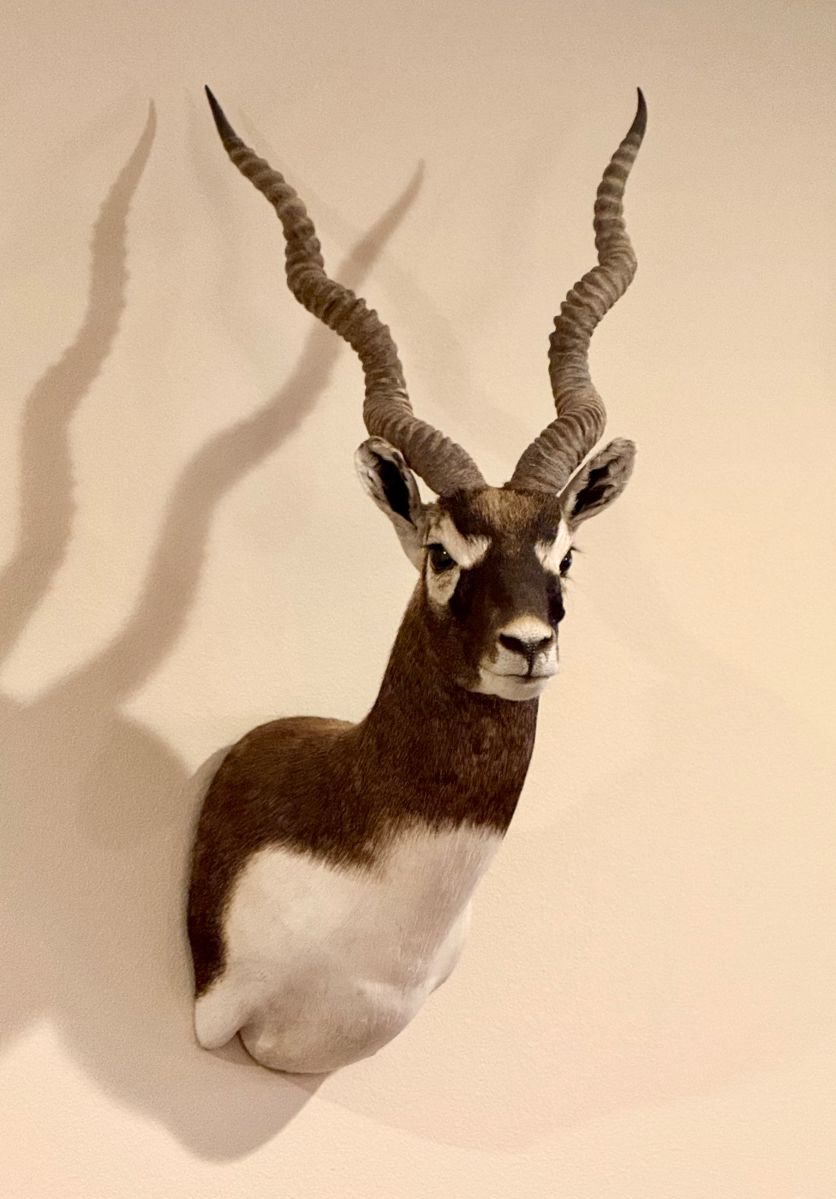 60% OFF EVERYTHING * Harper's Preserve Fisher-Hunt... starts on 3/7/2025