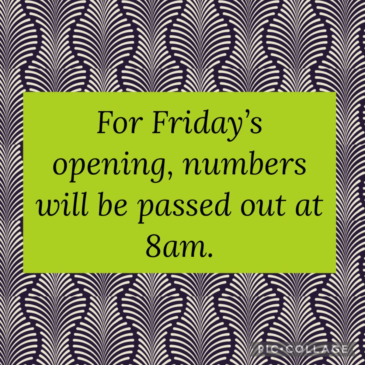 White Oak Estates Off George O’Neal starts on 2/21/2025