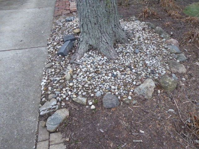 Hinsdale House in Golfview Hills Estates... starts on 2/21/2025