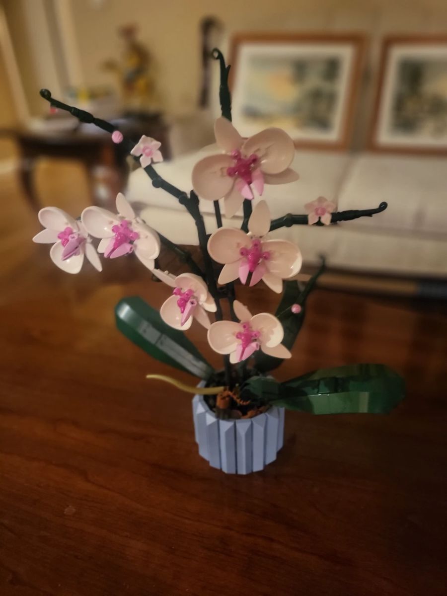 Asian Influenced Treasure Trove in Springfield, VA starts on 2/22/2025