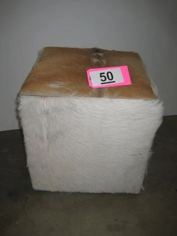 Sale #3 Faux Library Studio Props in North... starts on 2/25/2025