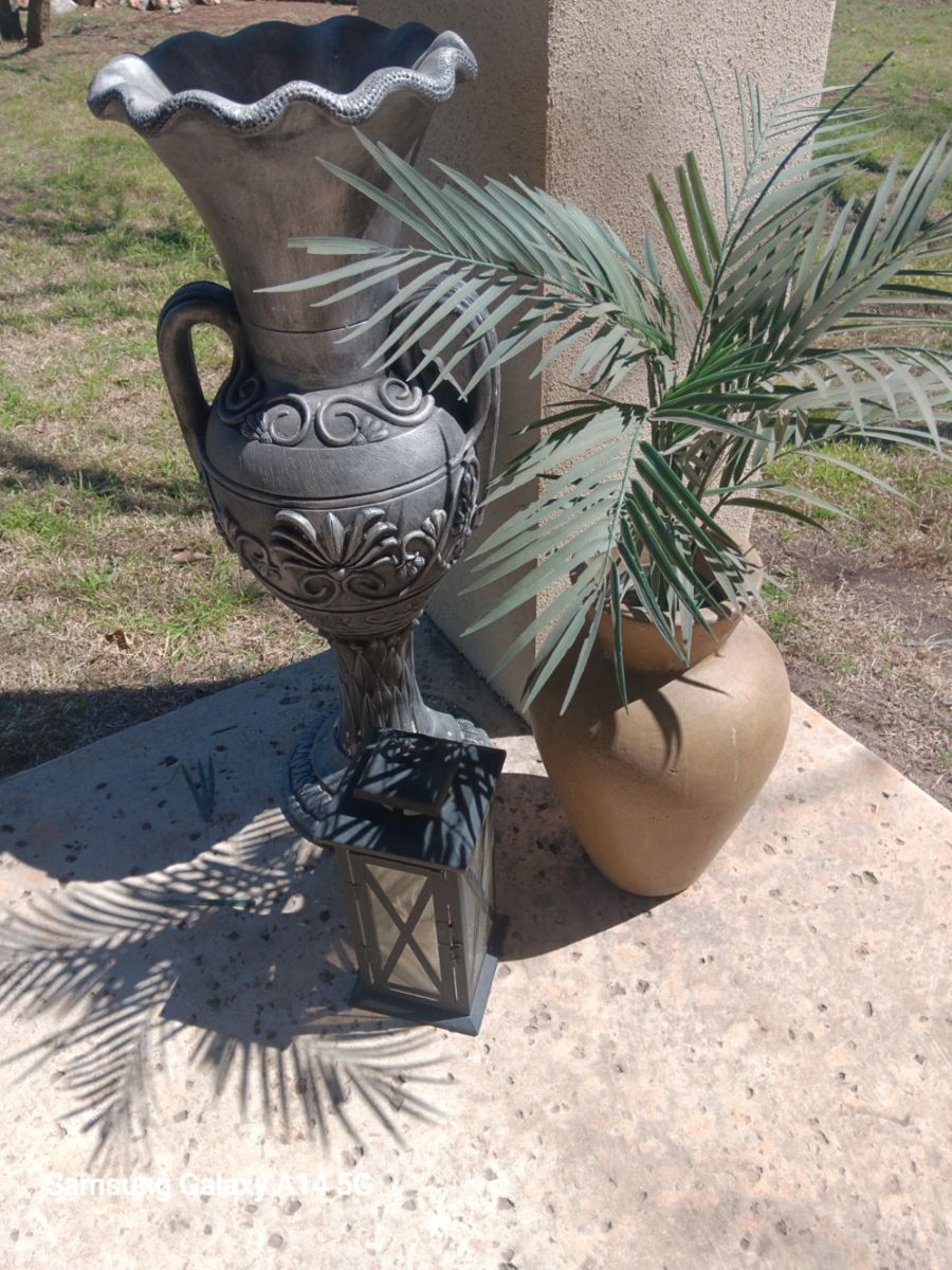 50% off Sunday CATON SALE by Miss Ruby The... starts on 3/21/2025