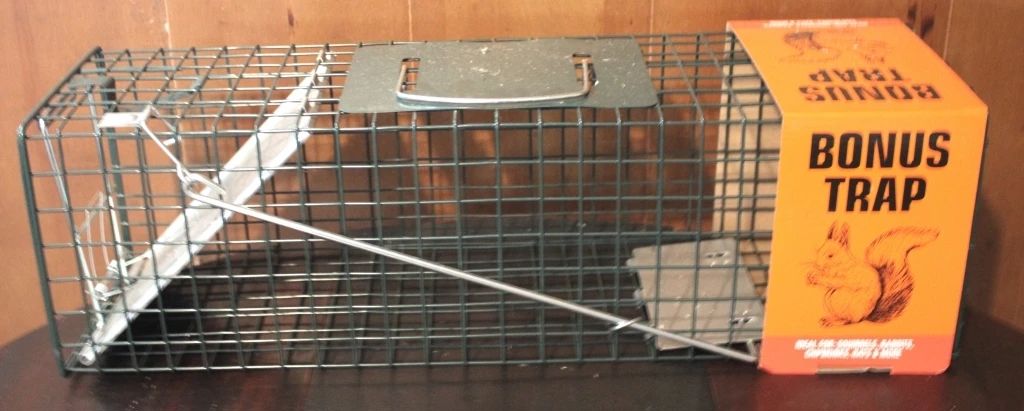 Buck it Up, Buttercup! Online Auction, 3/24 @ 6pm starts on 3/13/2025