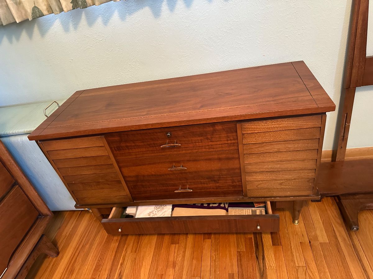 Mid-Century Time Capsule Sale in Rochester, MN starts on 3/29/2025