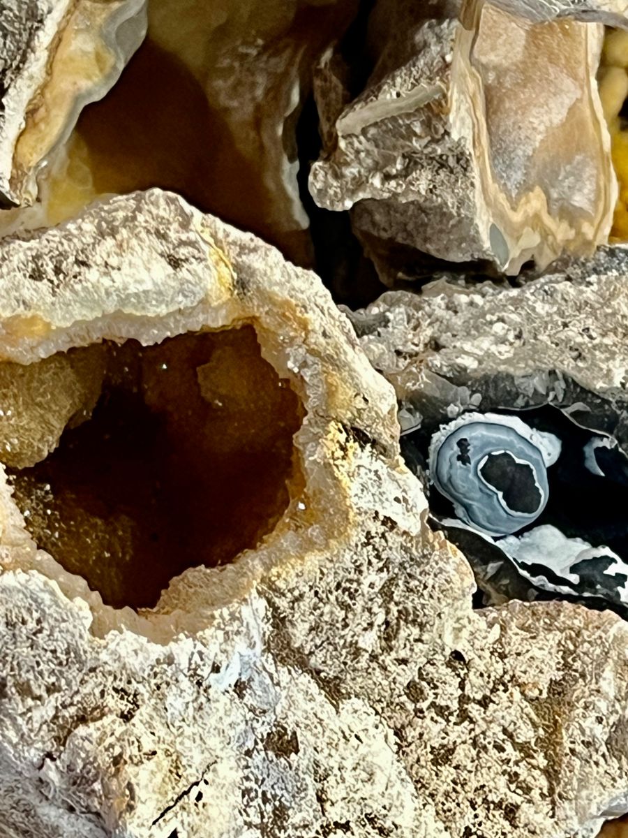 Ortega Trading Co. OPEN Wed. & Sat. starts on 4/2/2025